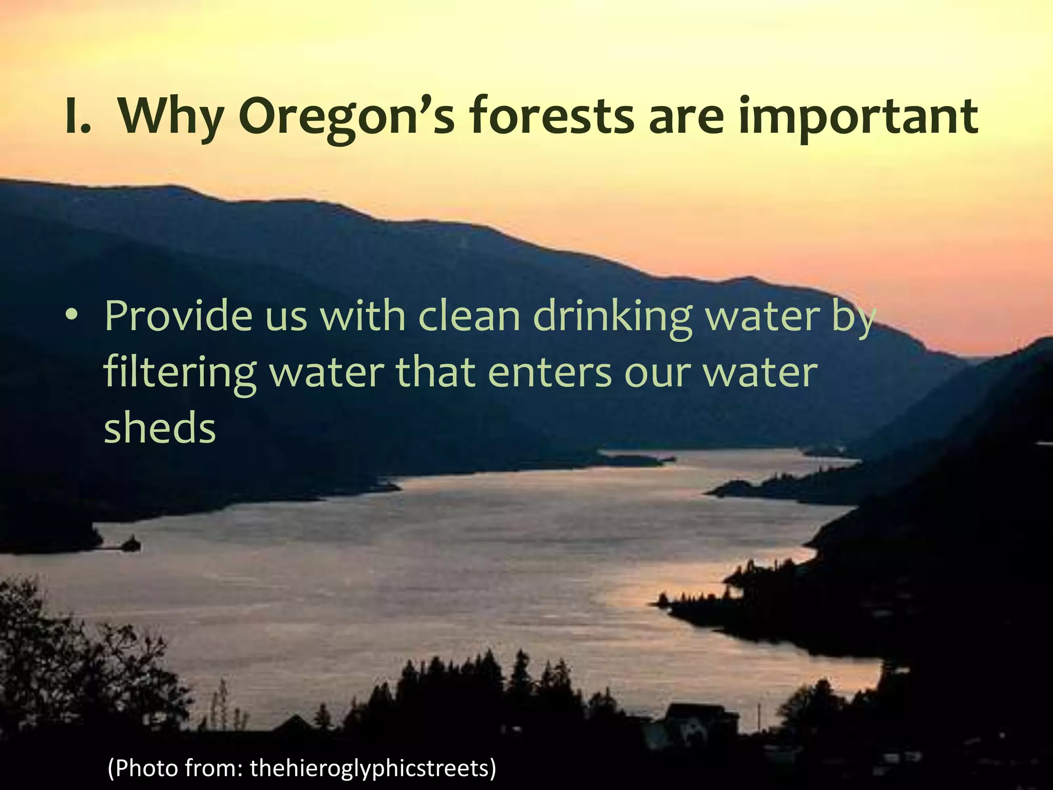 Overview Oregon's forests | PPTX