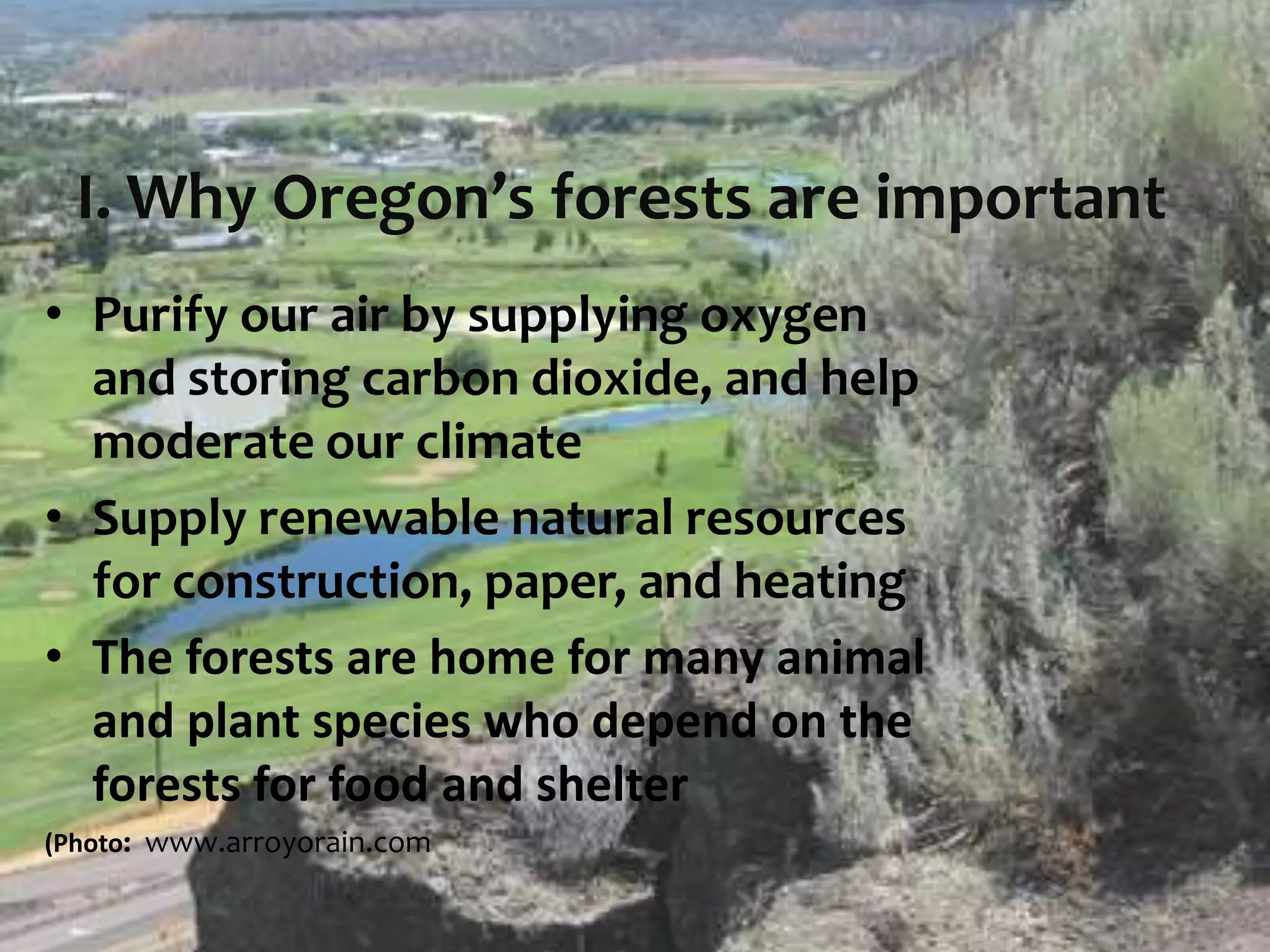 Overview Oregon's forests | PPTX