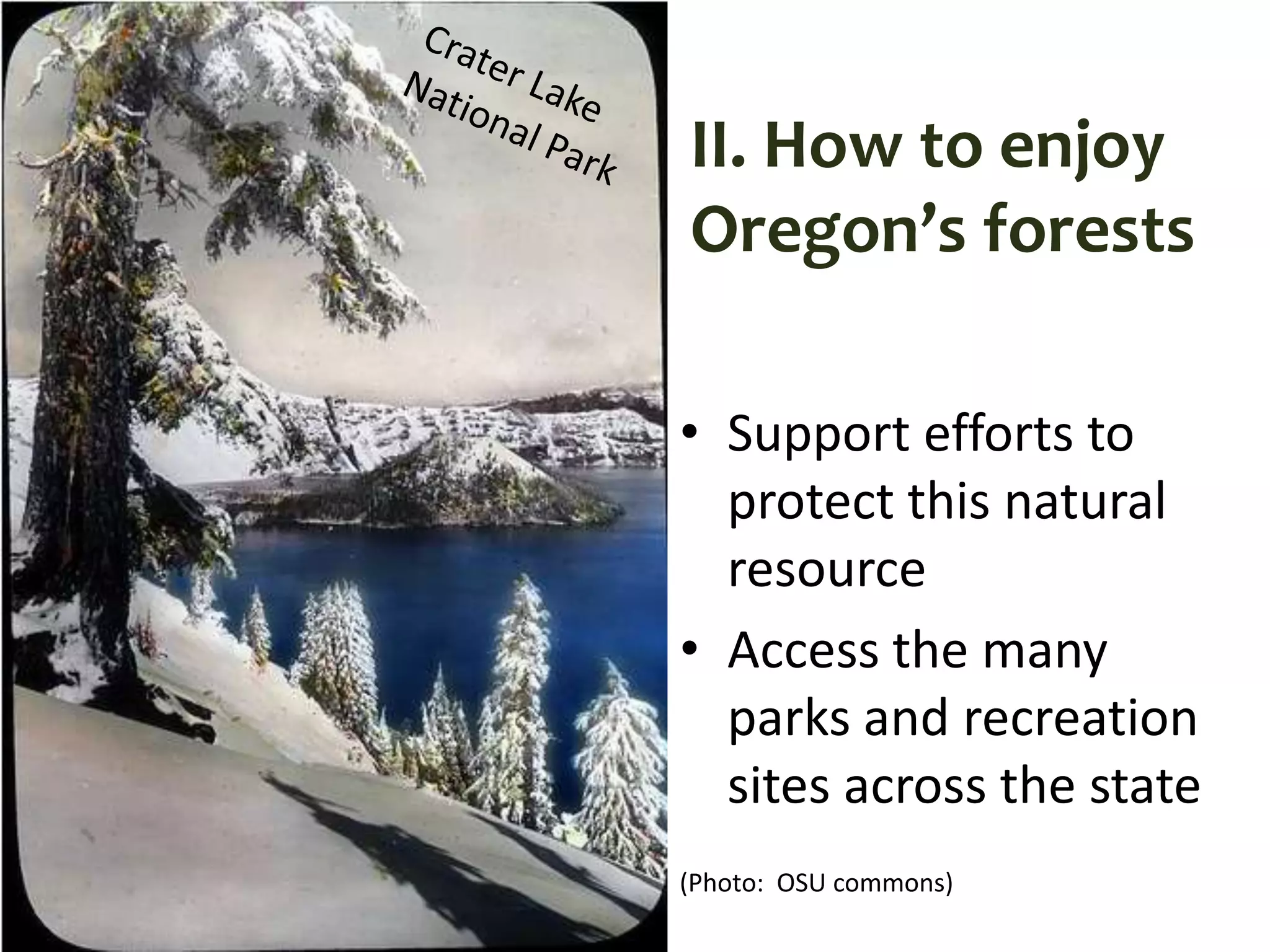 Overview Oregon's forests | PPTX