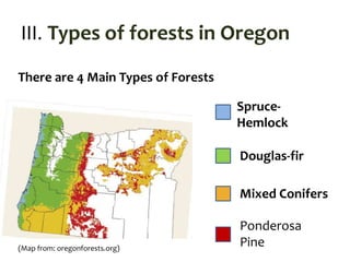 Overview Oregon's forests | PPTX
