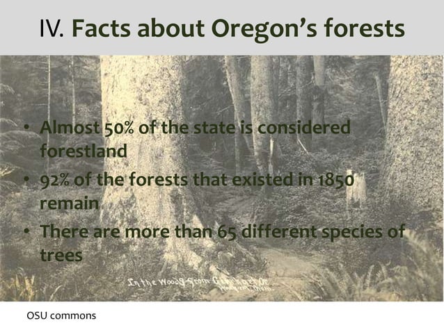 Overview Oregon's forests | PPT