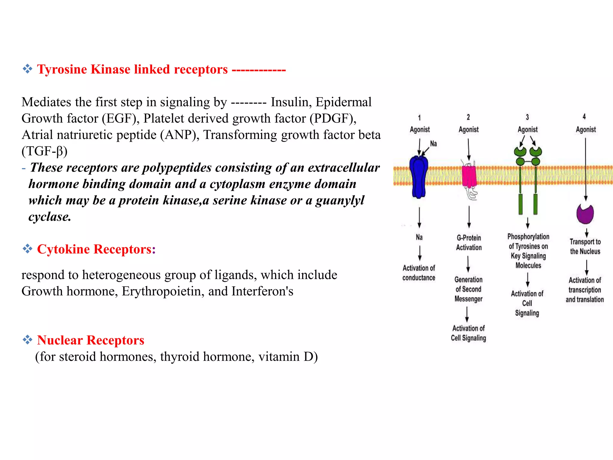 Overview of Pharmacodynamics | PPTX