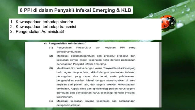 Overview PPI di FKTP -laskesi.pdf