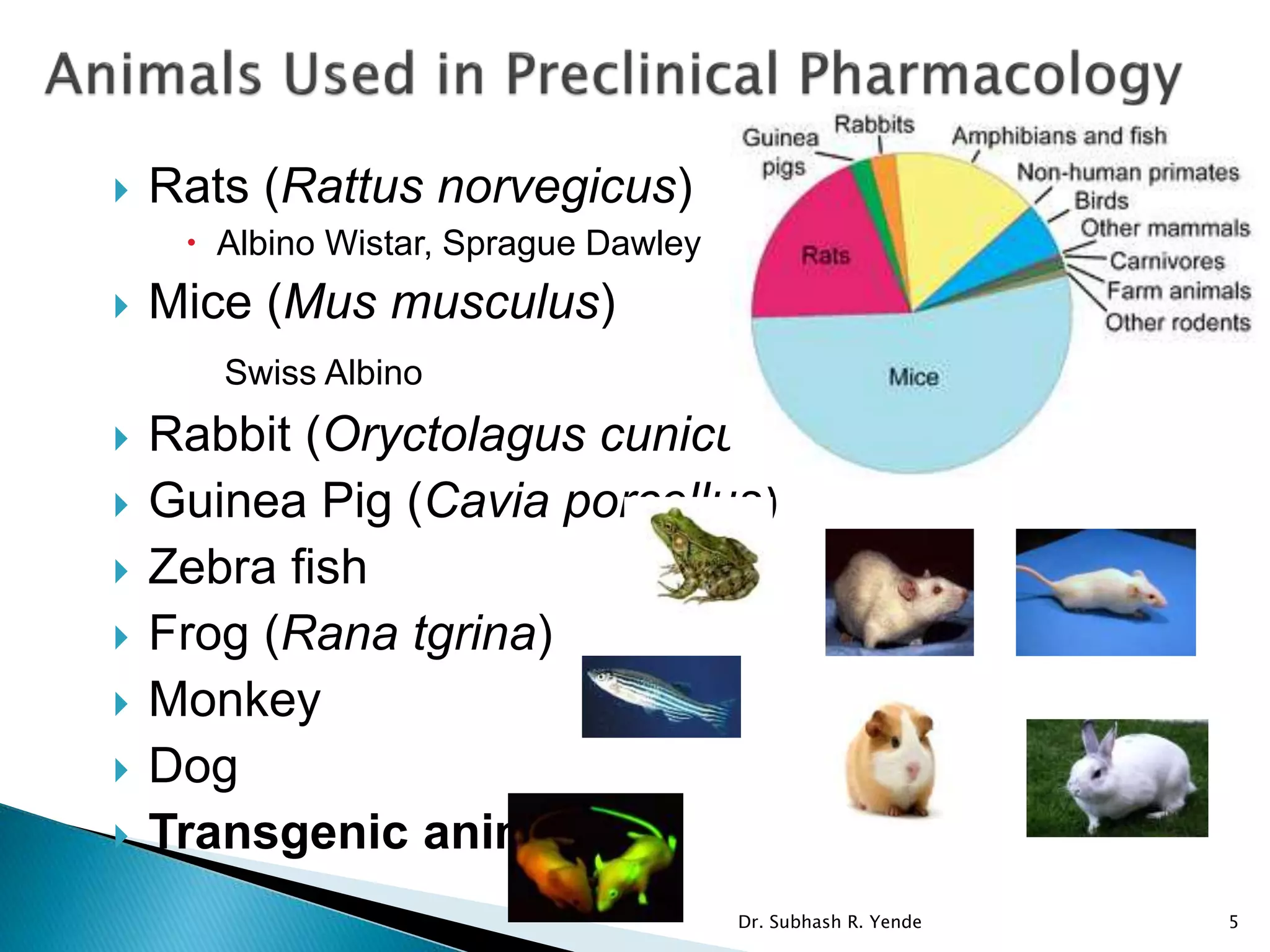 Preclinical experimentation: An overview | PPTX
