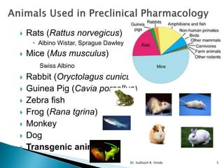 Preclinical experimentation: An overview | PPTX