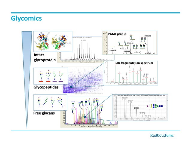 Overview Radboudumc Center for Proteomics, Glycomics and Metabolomics april 2015 | PDF | Biotech ...