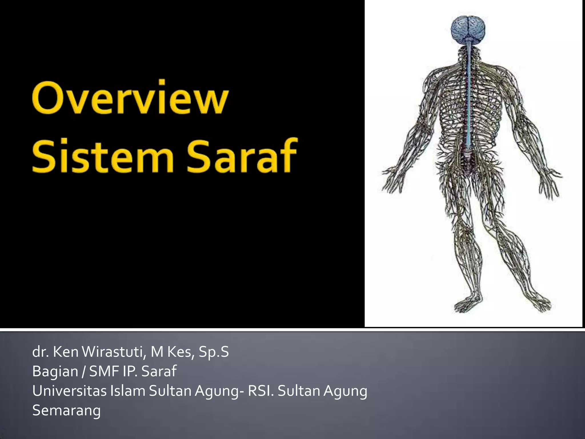 Overview sistem saraf | PPTX