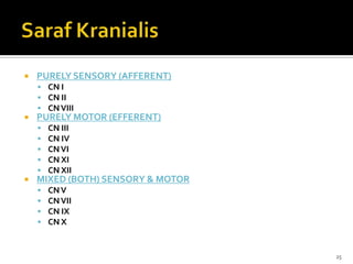 Overview sistem saraf | PPTX