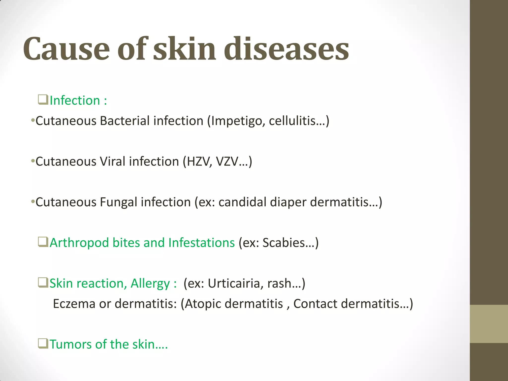Overview skin disease & impetigo ping | PDF