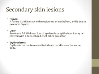 Overview skin disease & impetigo ping | PDF