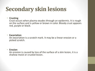 Overview skin disease & impetigo ping | PDF