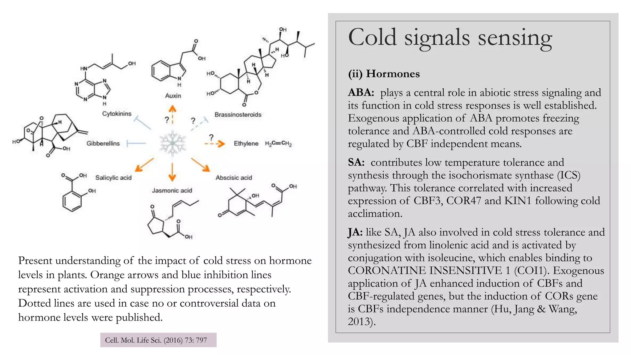 Overviews of cold tolerance regulatory mechanisms | PPTX