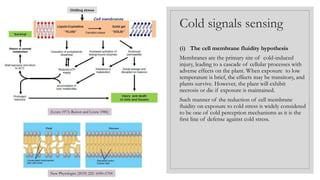 Overviews of cold tolerance regulatory mechanisms | PPTX