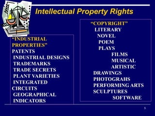 Overview on Intellectual Property Rights.ppt | Free Download