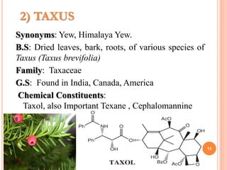 Overview of cancers plants | PPTX
