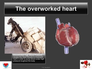 The Overworked Heart | PPTX | Heart and Cardiovascular Diseases ...