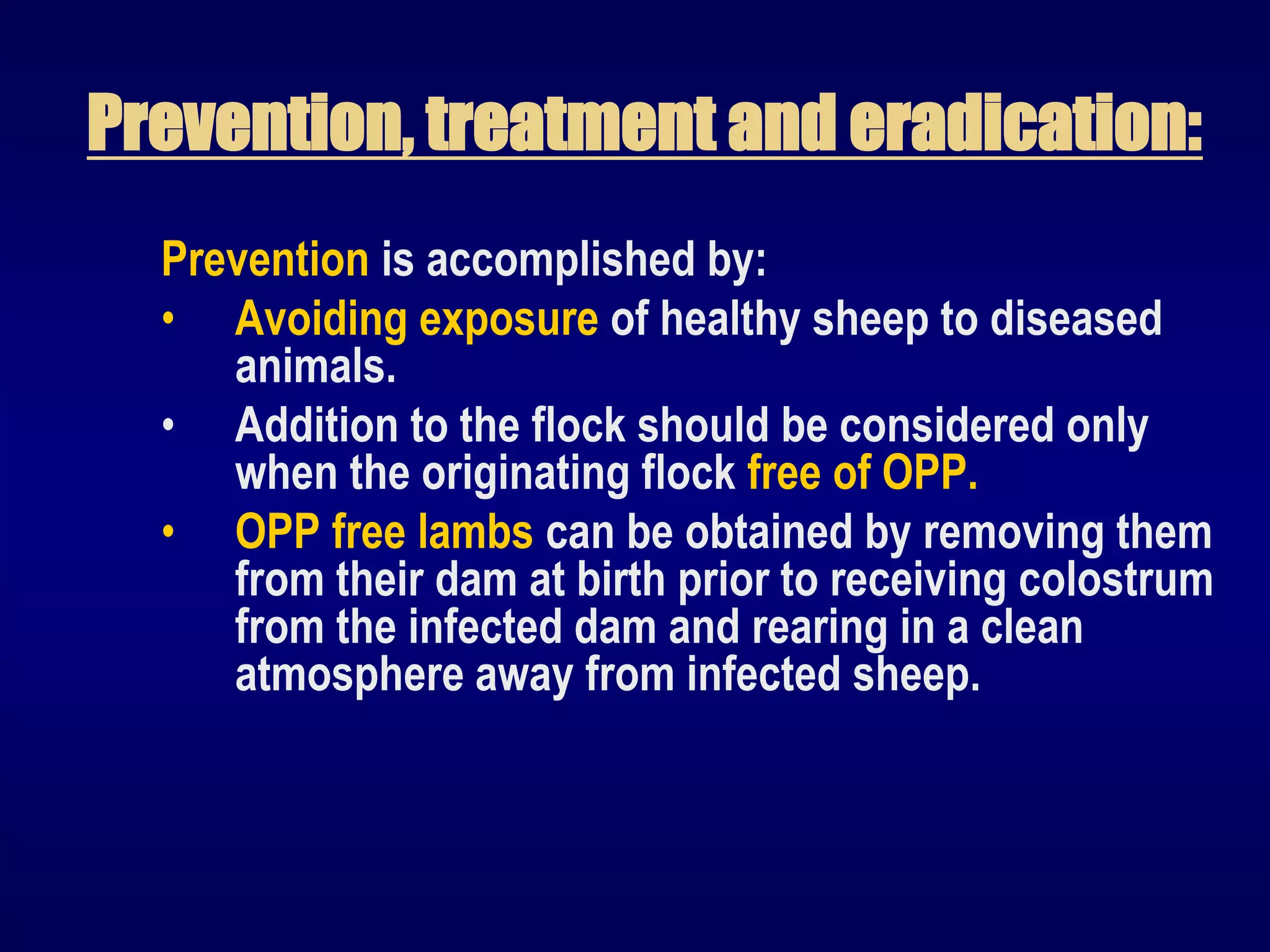 Ovine progressive pneumonia | PDF