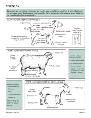 Guía Ilustrada para la Producción de Ovinos y Caprinos | PDF