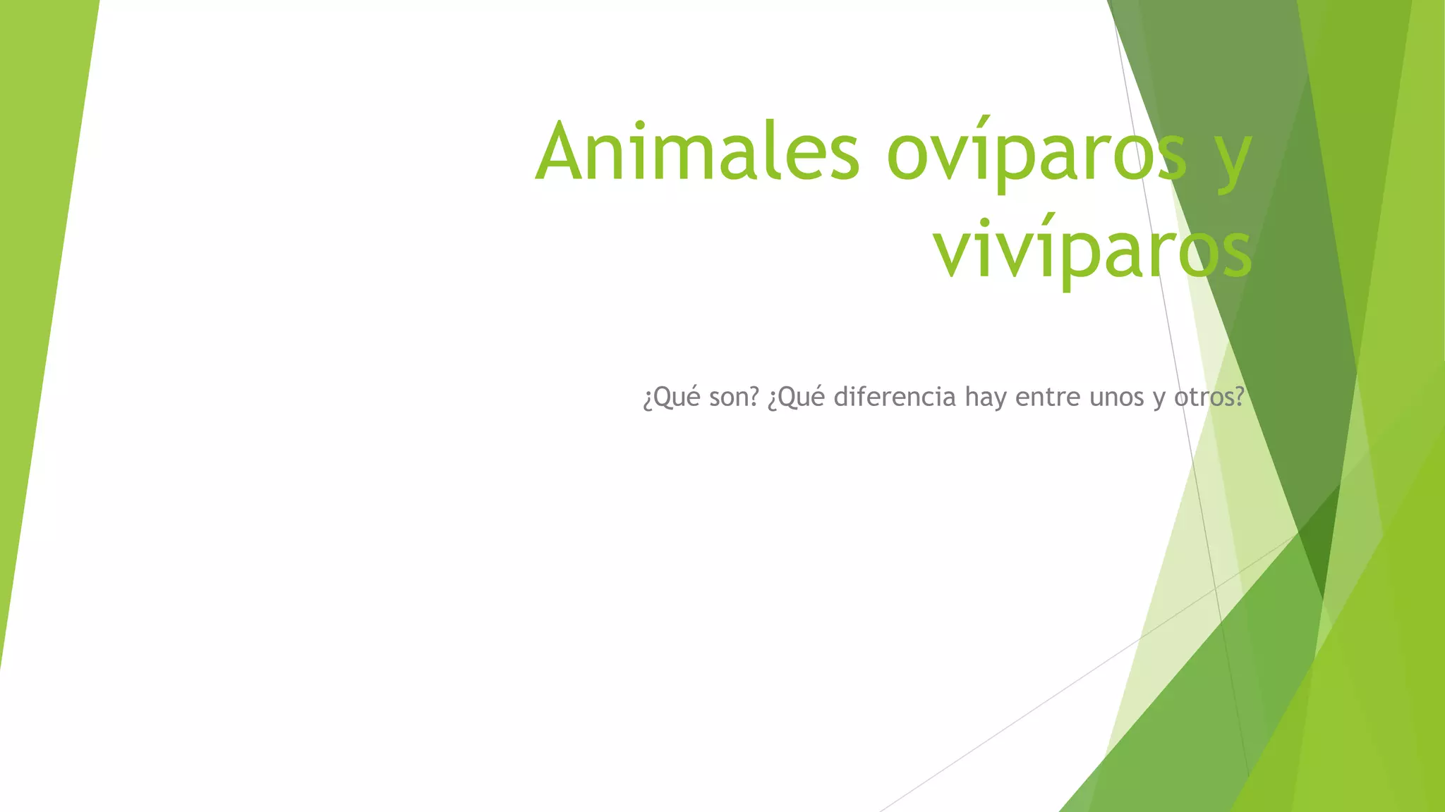 Oviparos y viviparos | PPTX