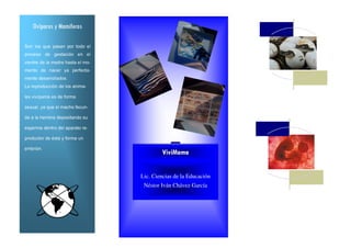 ovipatos | PDF