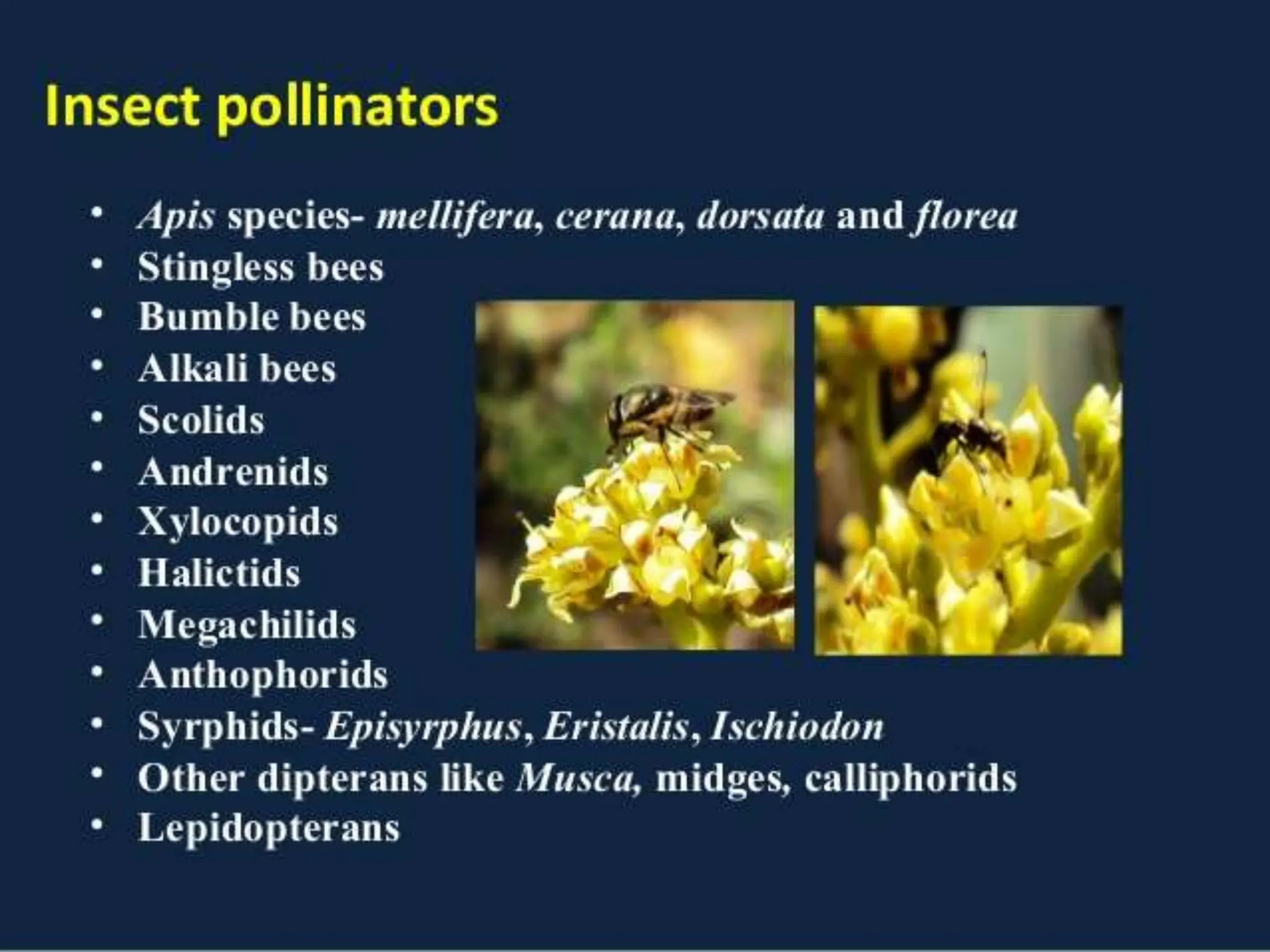 Ovipositional and pollination behaviour.pptx