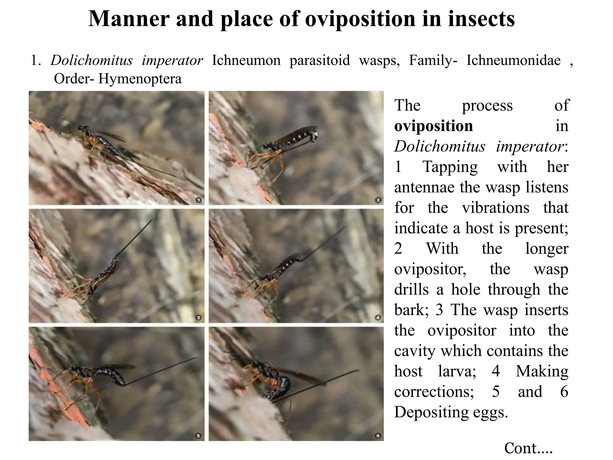 Ovipositional and pollination behaviour.pptx