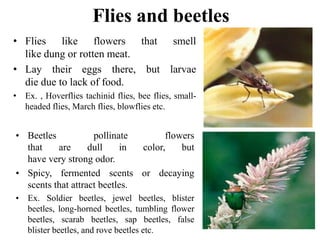 Ovipositional and pollination behaviour.pptx | Beekeeping | Hobbies ...