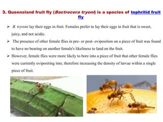 Ovipositional and pollination behaviour.pptx