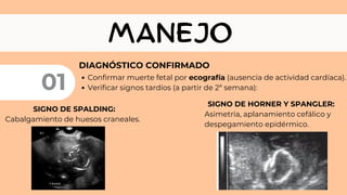Ovito fetal-ginecología y obstetricia- med | PDF