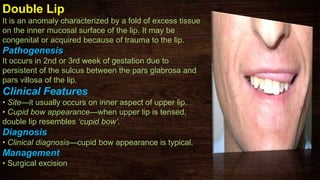 lesions of lip | PPTX