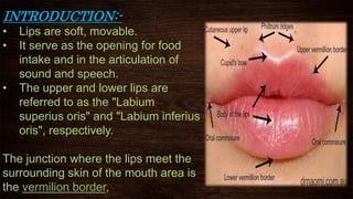 lesions of lip | PPTX