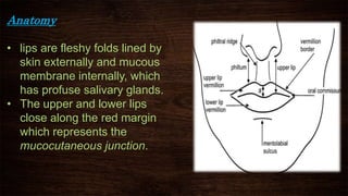 lesions of lip | PPTX