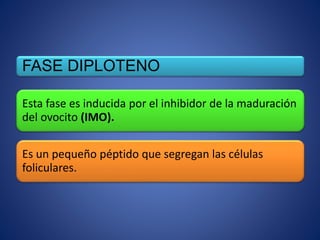 Células germinales Femeninas - Ovogénesis | PPTX