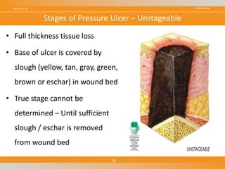 Wound Management | PPTX