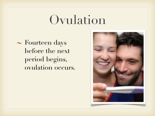 Ovulation | PDF