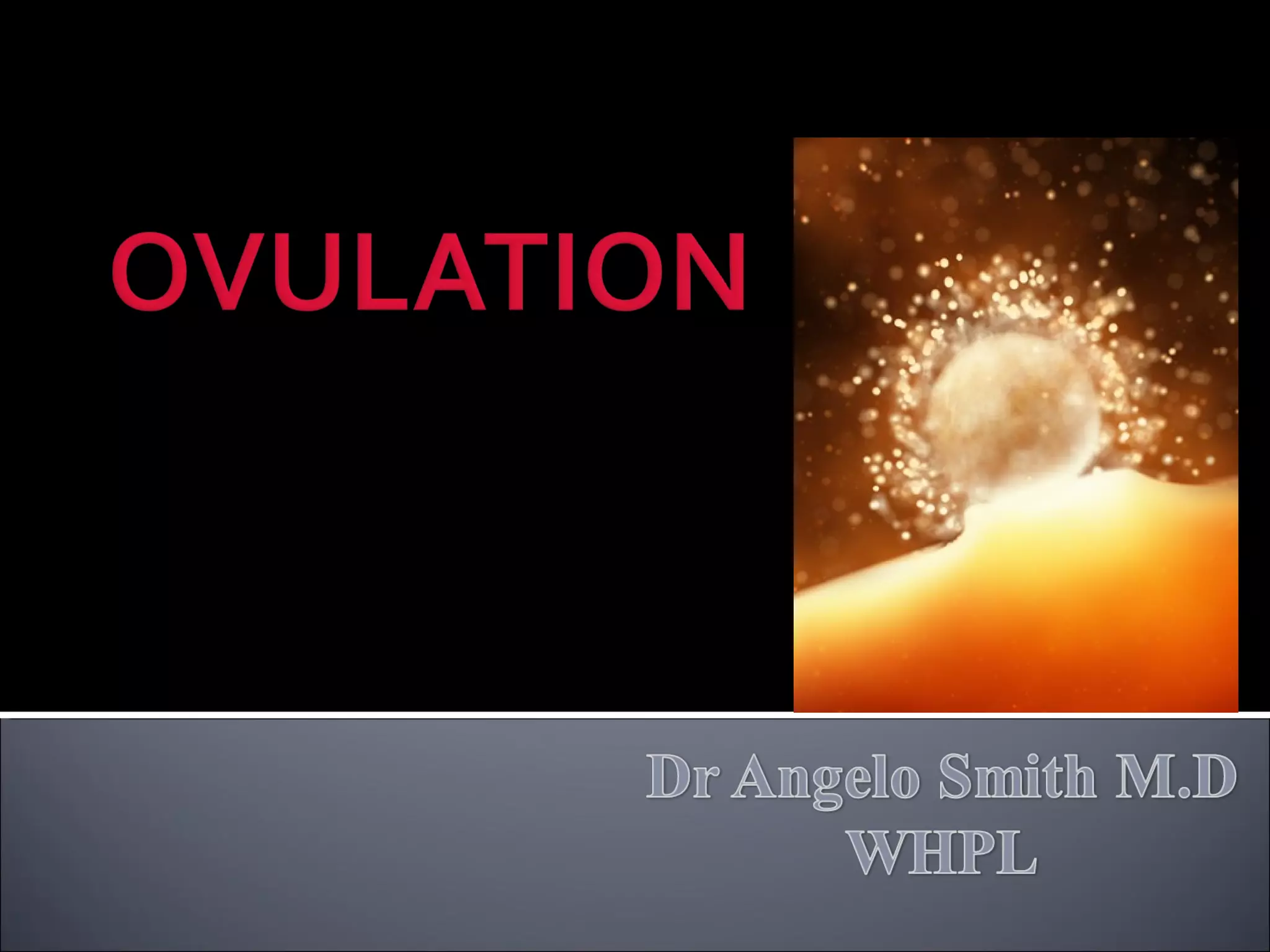 Ovulation | PPT