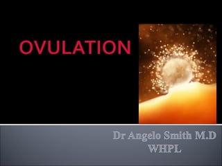 Ovulation | PPT