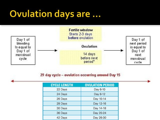 Ovulation | PPT