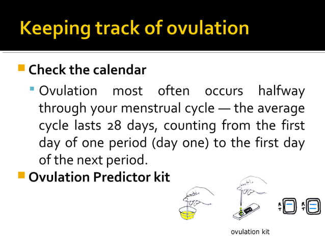Ovulation | PPT
