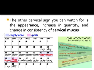 Ovulation | PPT