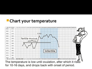 Ovulation | PPT