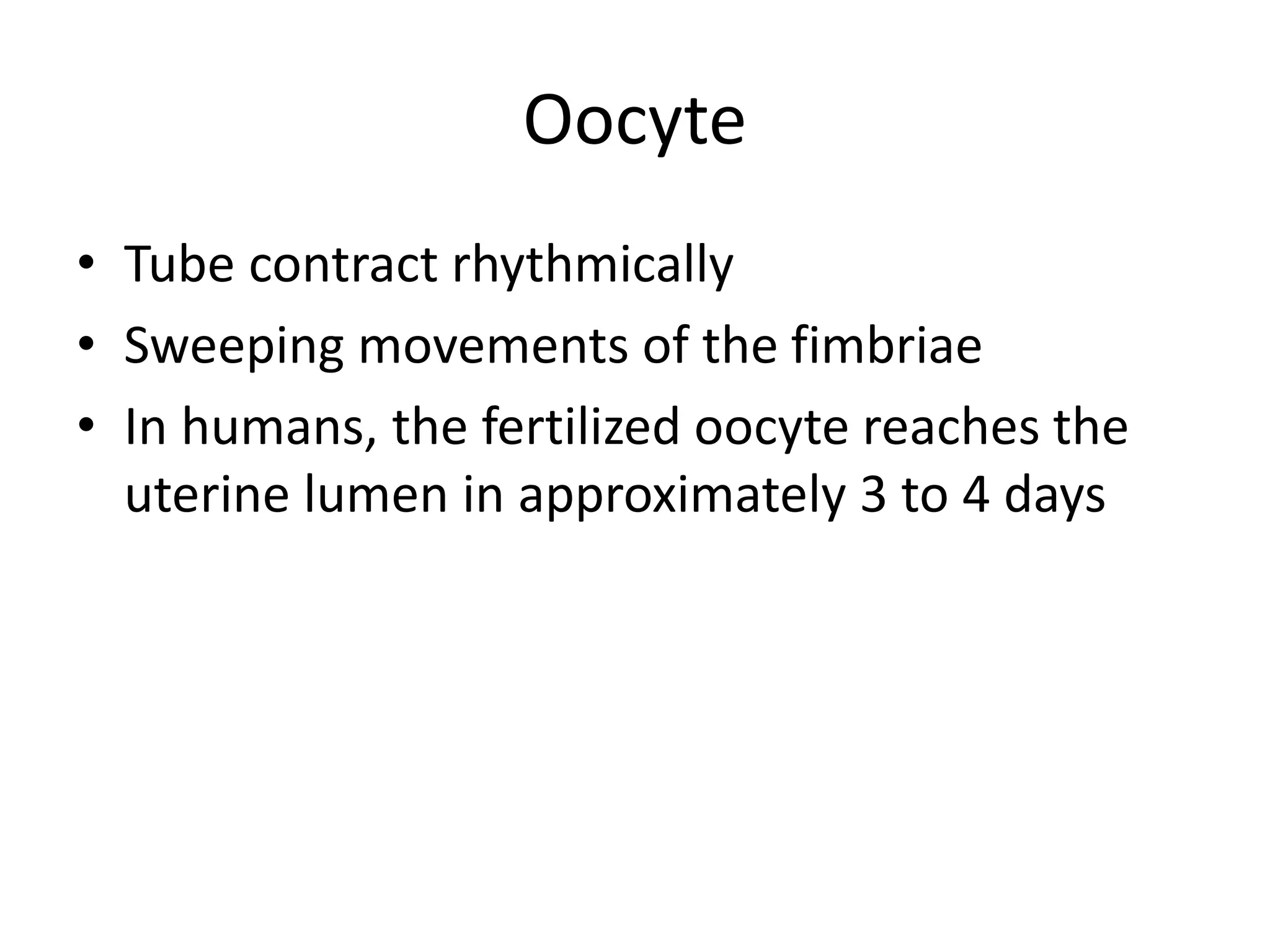 Ovulation Pptx