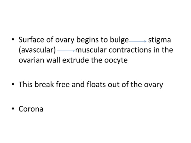 Ovulation Pptx