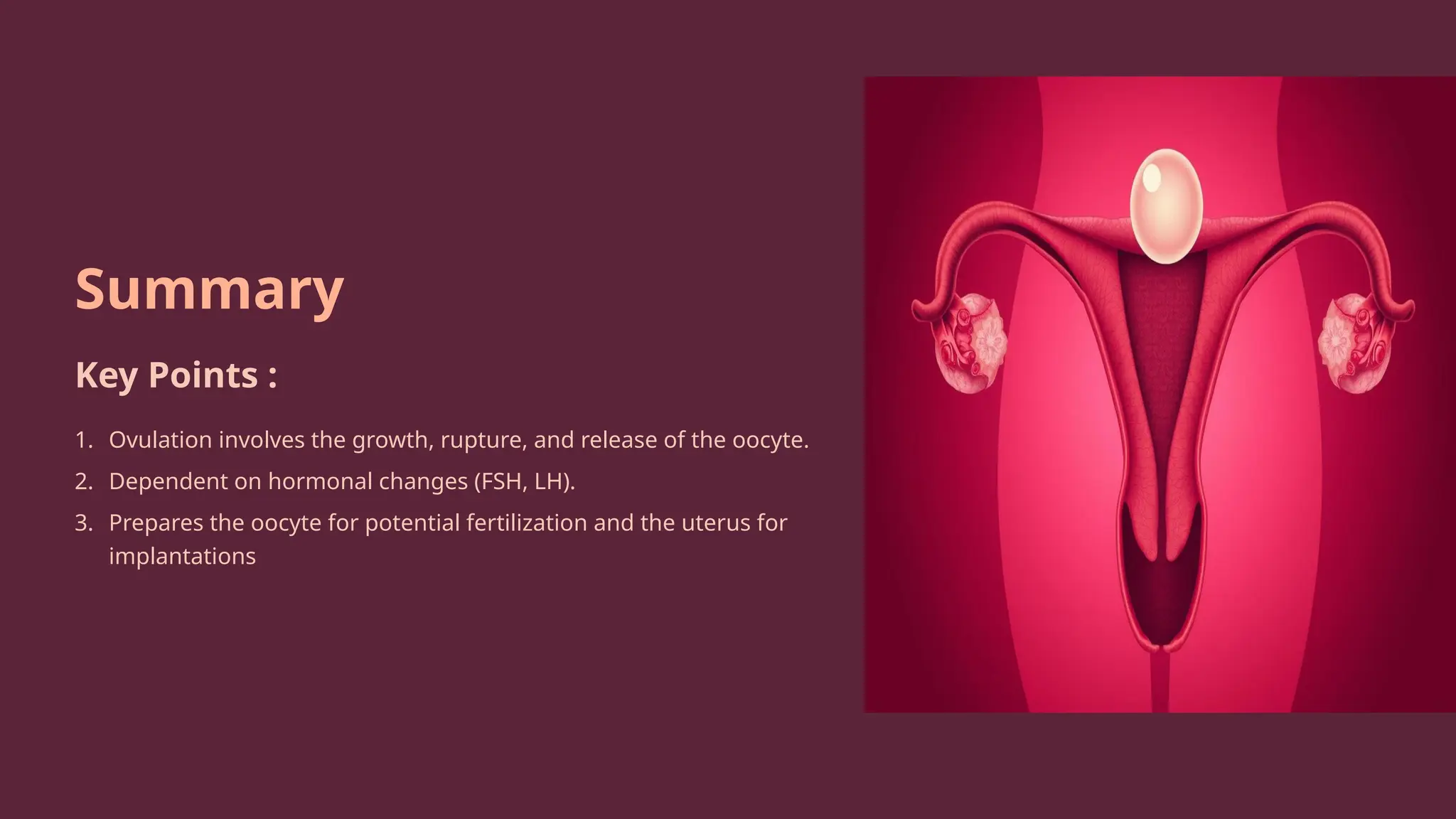 Ovulation Pptx Ppt