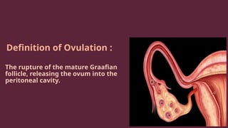 Ovulation.pptx.......................... | PPT