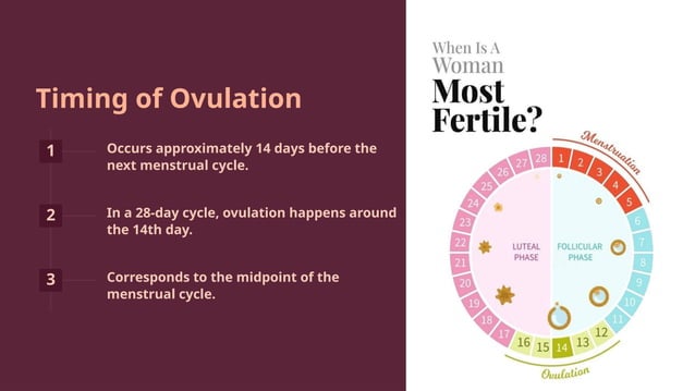 Ovulation.pptx.......................... | PPT