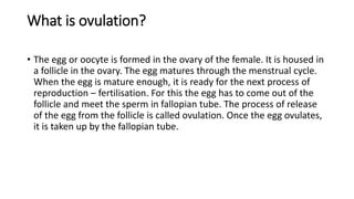 Ovulation calendar | PPT