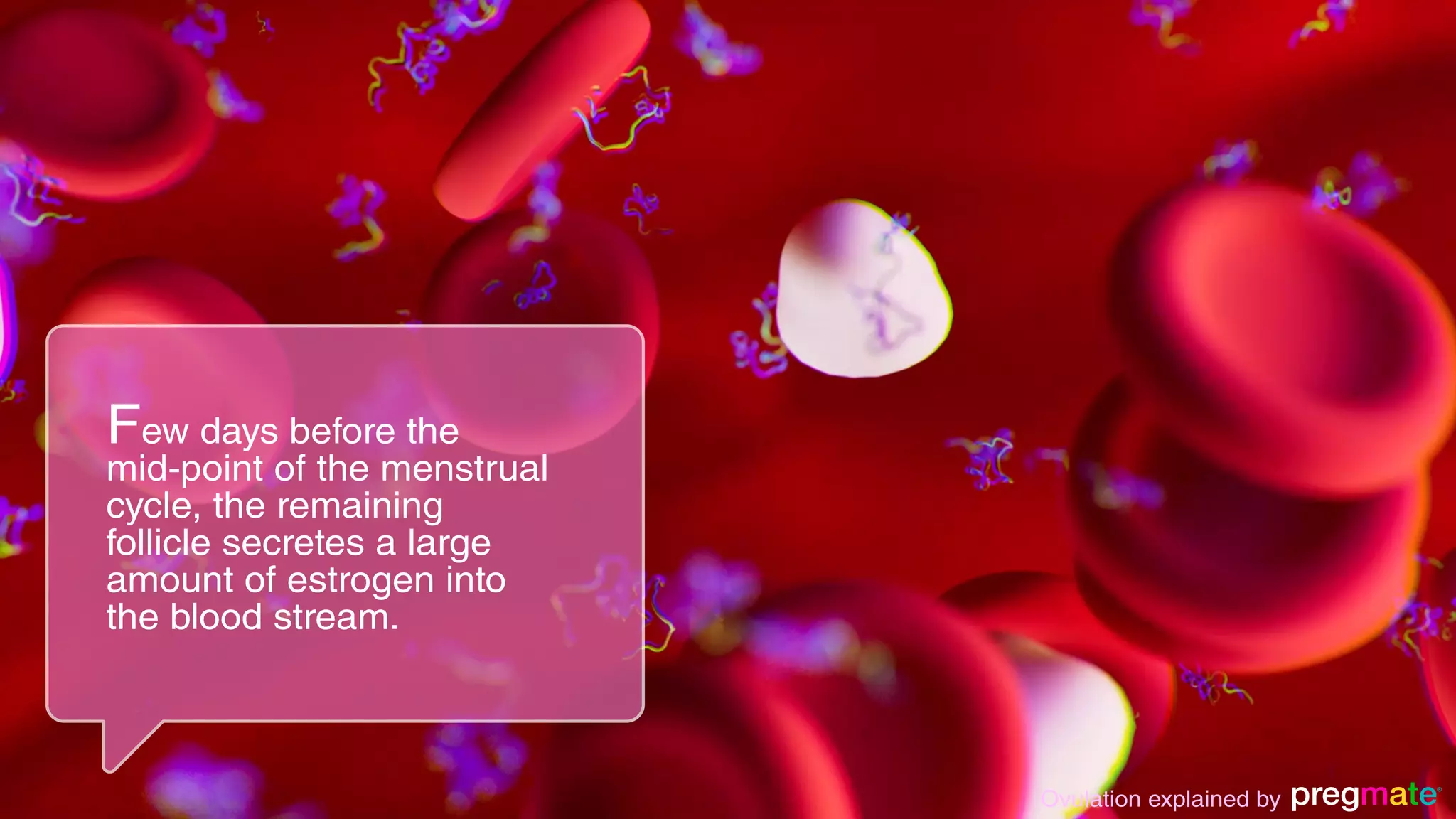 What is Ovulation and how it works? | Ovulation explained | PDF