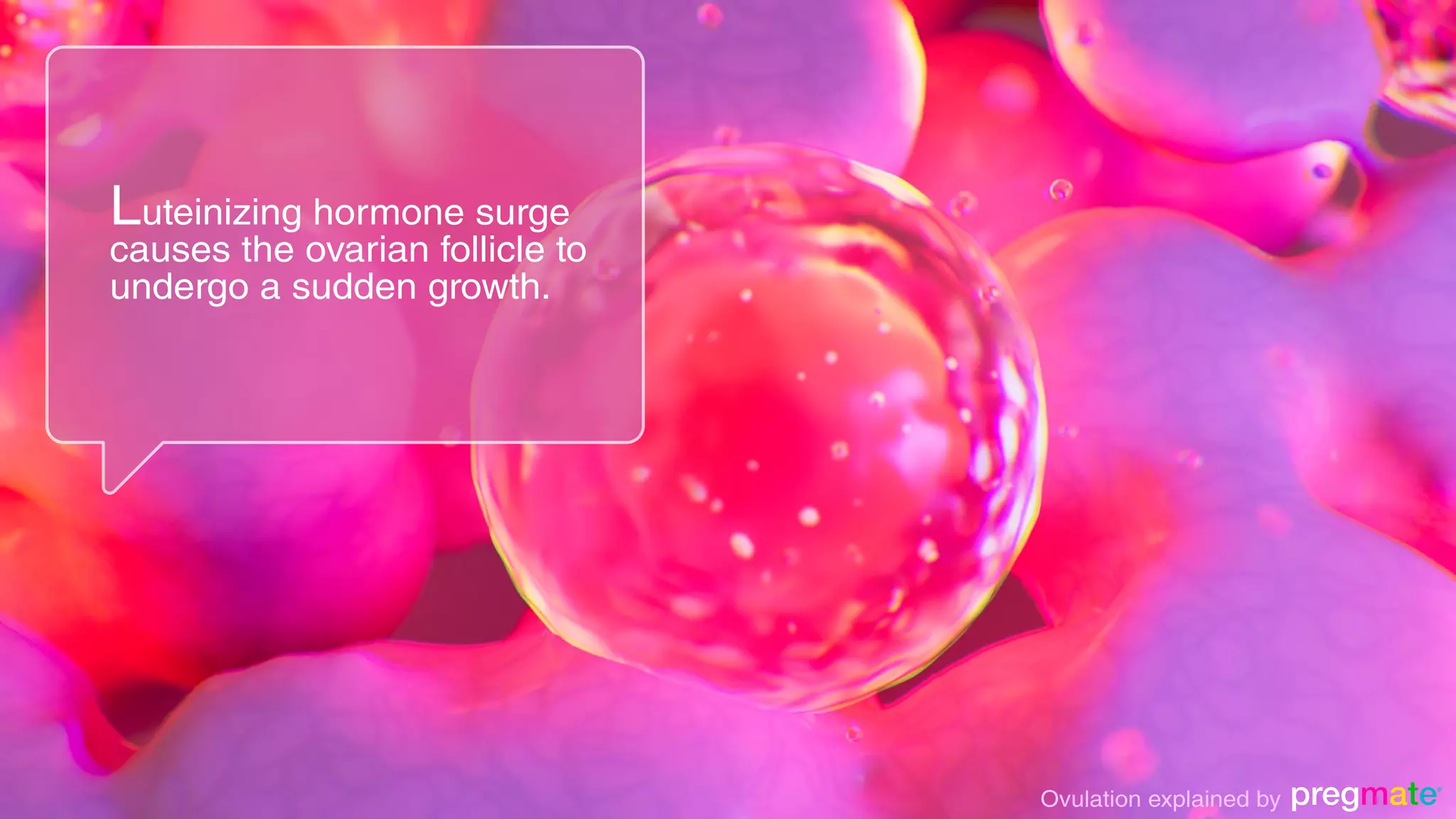 What is Ovulation and how it works? | Ovulation explained | PDF