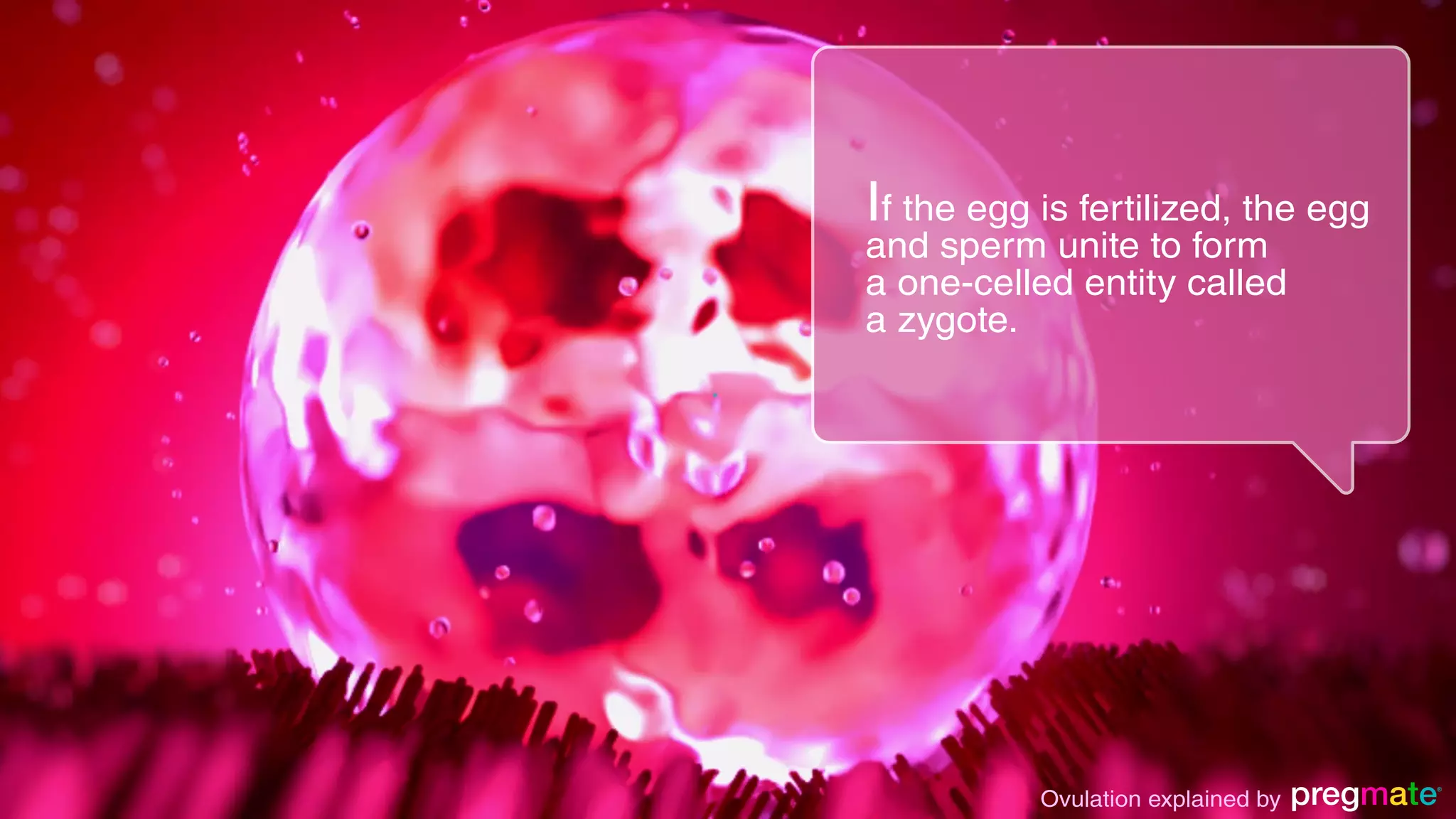 What is Ovulation and how it works? | Ovulation explained | PDF